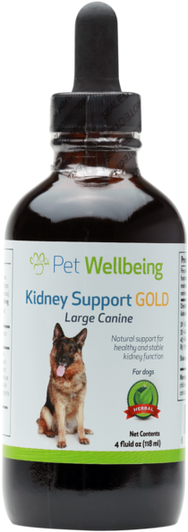 Download Kidney Support Gold For Dogs And Cats - Pet Wellbeing - Kidney ...