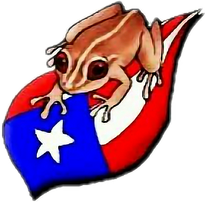 Download Puerto Rican Coqui Drawing - Full Size PNG Image - PNGkit