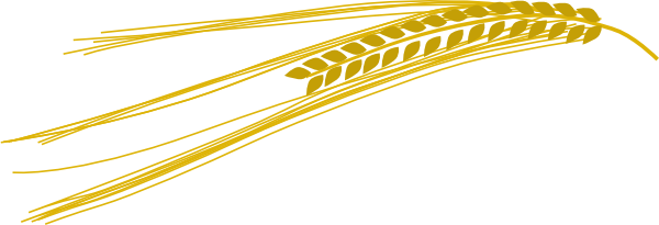 Download Svg Royalty Free Download Barley Clip Art At Clker - Barley ...