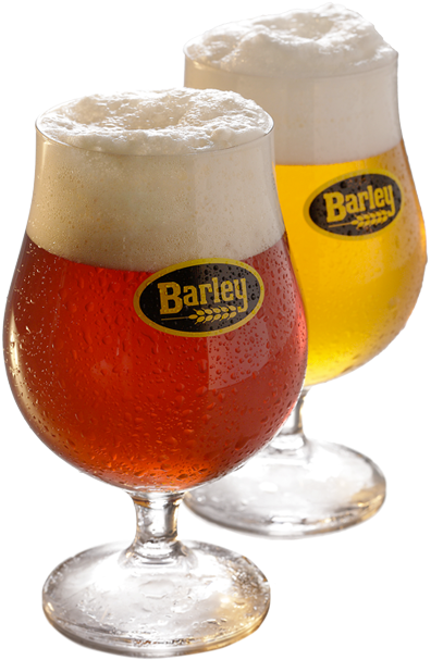 Download Barley Transparent Beer - Barley - Full Size PNG Image - PNGkit