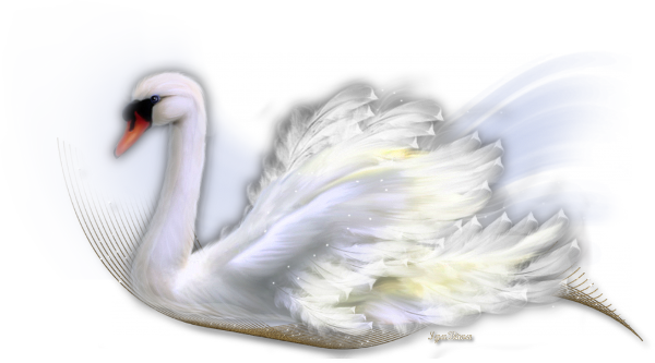 Download Swans - .net - Full Size PNG Image - PNGkit