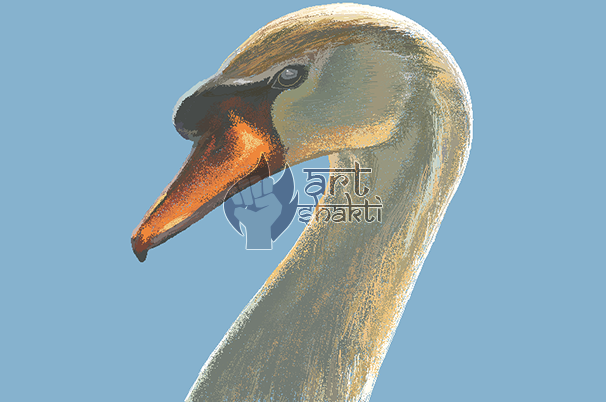 Download Swan Graphics Art Painting Blue Sky - Trumpeter Swan - Full ...