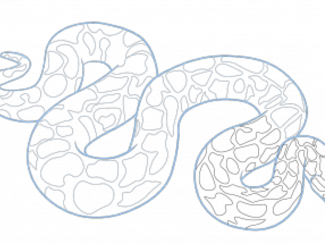 Download Drawn Snake Python - Drawing - Full Size PNG Image - PNGkit