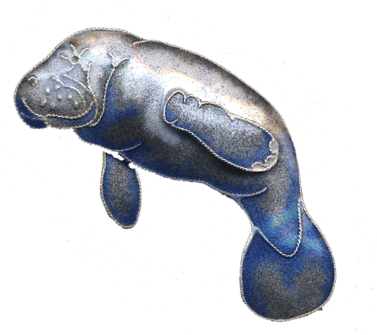 Download Manatee Pin - Full Size PNG Image - PNGkit