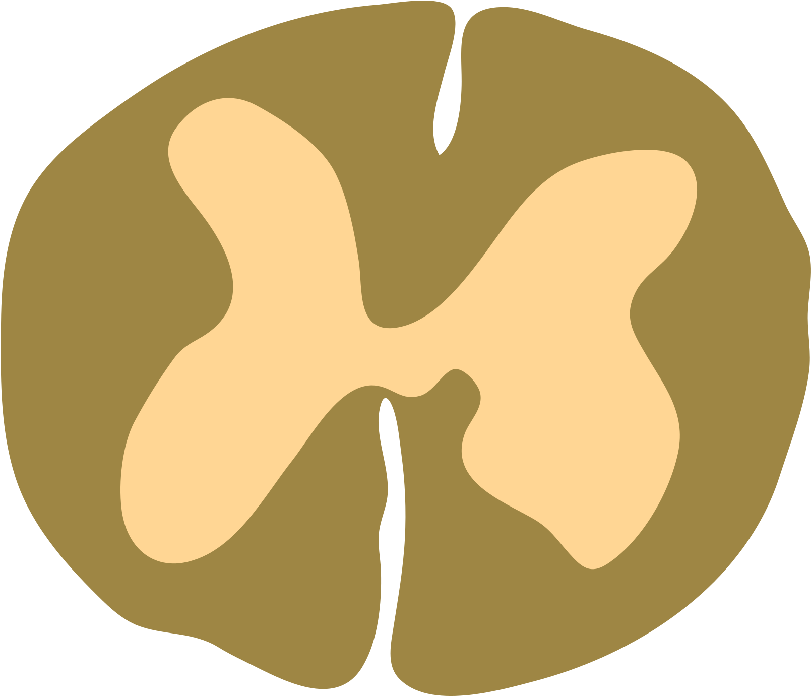Download Open - Spinal Cord Cross Section Png - Full Size PNG Image ...