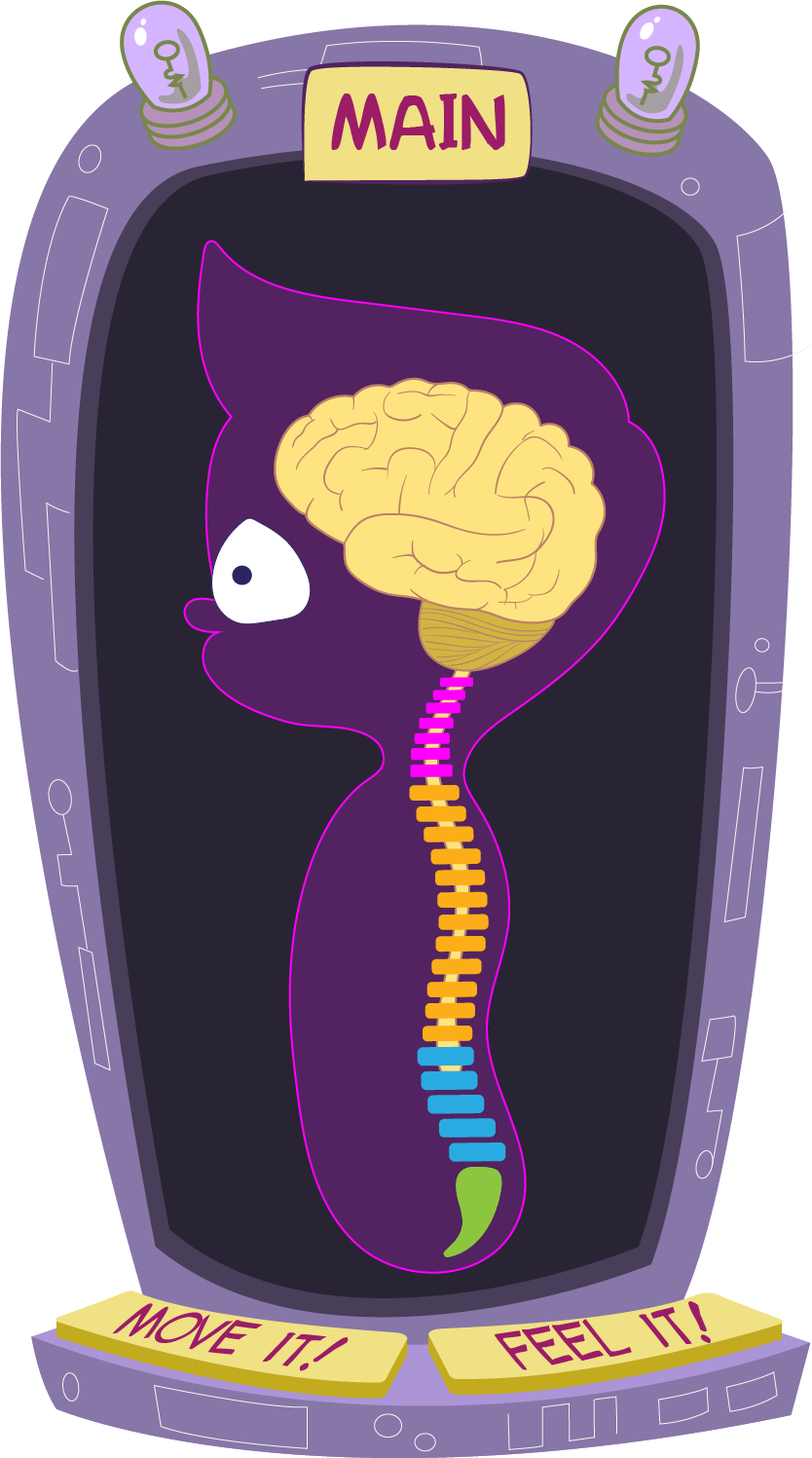 Download The Spinal Cord Has Levels - Brain And Spinal Cord Cartoon ...