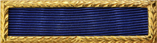 Download Army Blue Award Ribbon - Full Size PNG Image - PNGkit