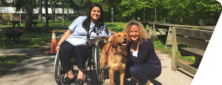 Download Our Vision & Mission - Companion Dog - Full Size PNG Image ...