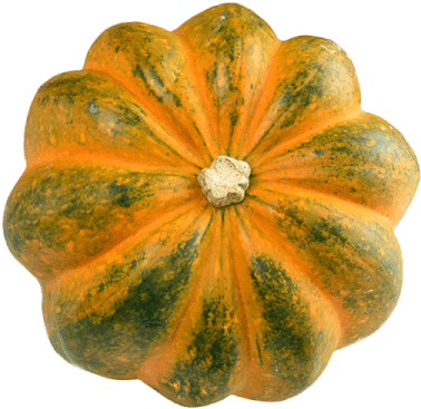 Download Free Png Acorn Squash Image Png Images Transparent - Squash ...