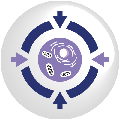 Download Single Cell Diagnostics - Single Cell Diagnostics - Methods ...