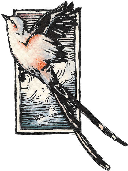 Download Call Us - Painting - Full Size PNG Image - PNGkit