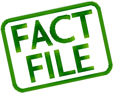 Download Personal Fact File - Full Size PNG Image - PNGkit
