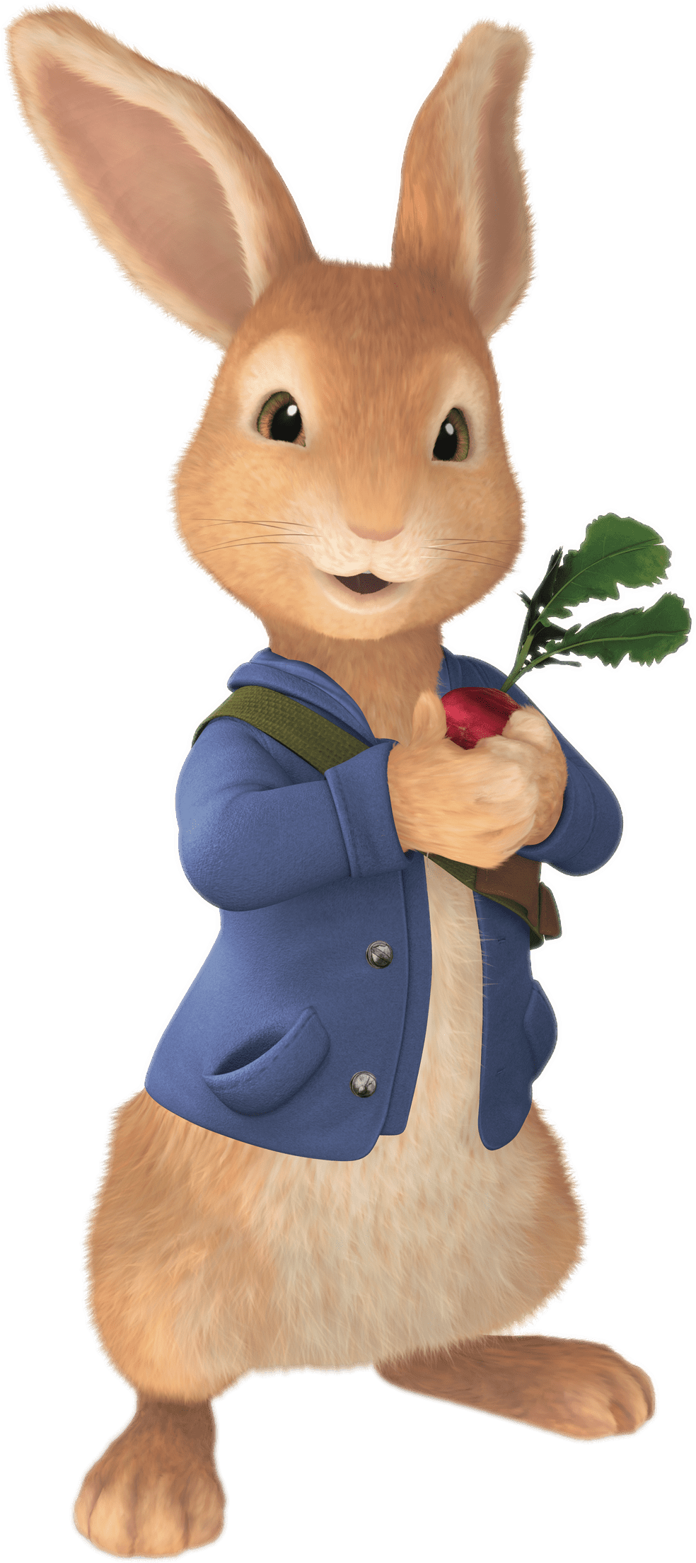 Download Peter Rabbit Holding Radish Transparent Png - Peter Rabbit ...