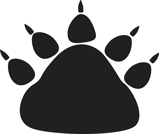 Download Vector Bear Paw - Bear Paw No Background - Full Size PNG Image ...