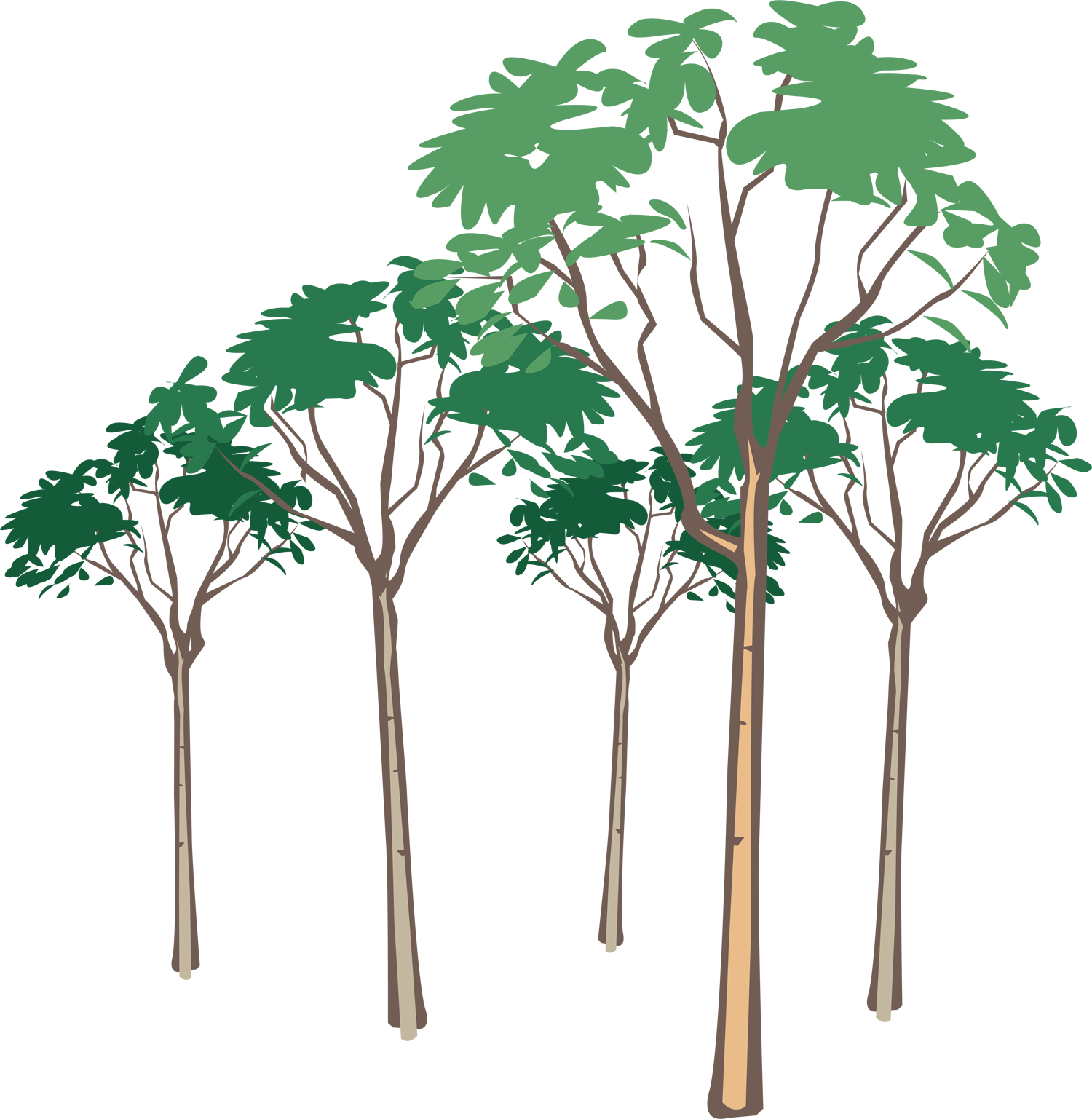 Download Transparent Free Tree Vector Art - Modern Green Tree 29 Shower ...