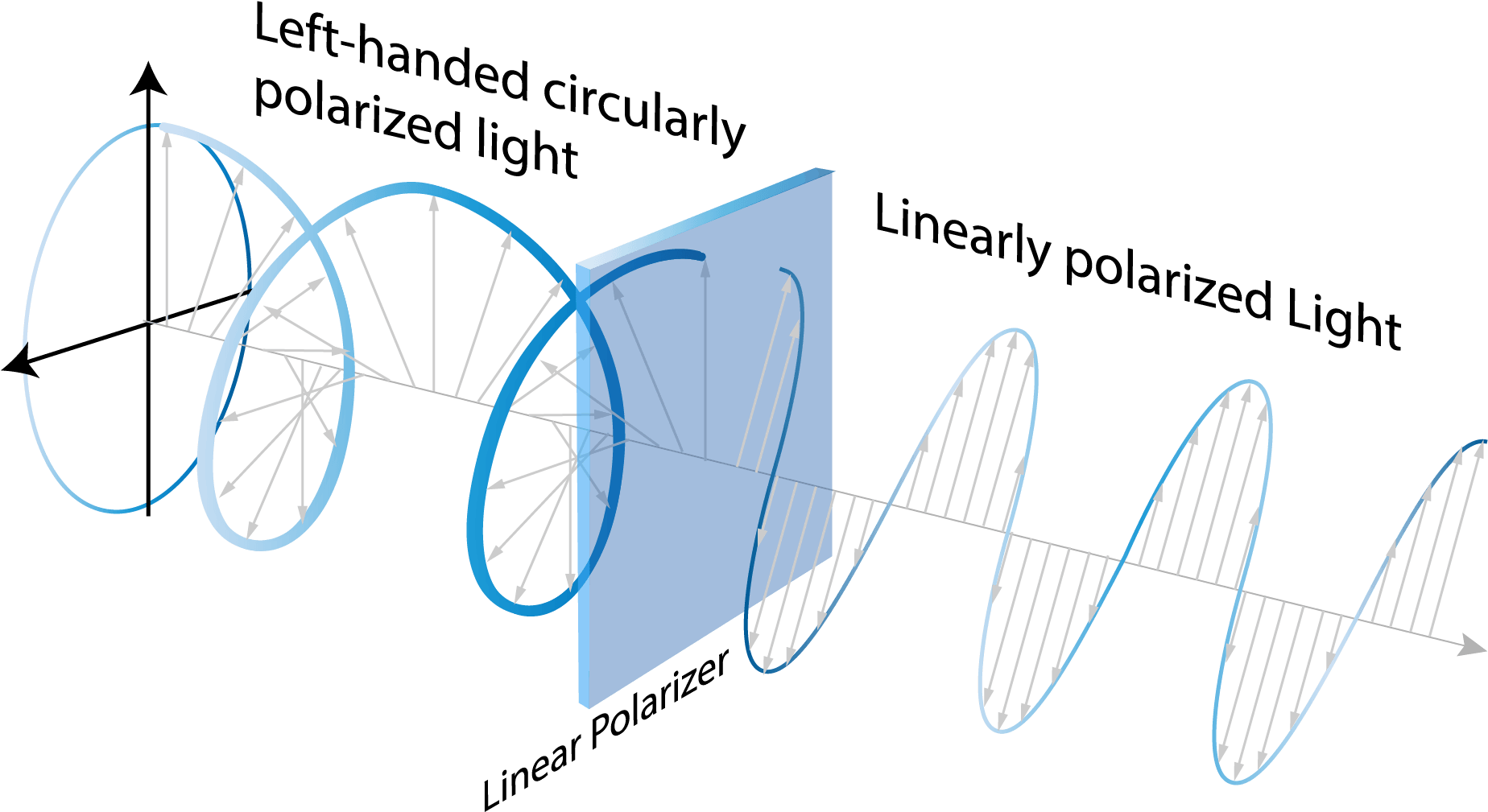 Download Polarization Is A Description Of The Orientation Of - Light ...