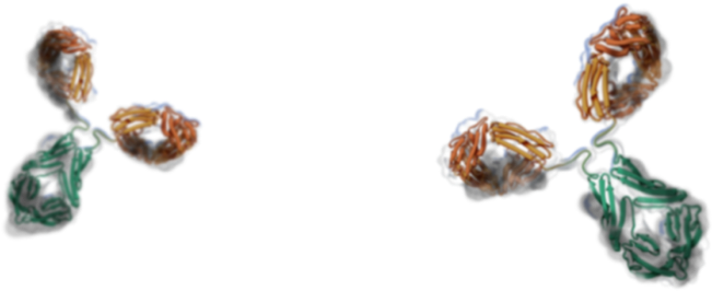 Download Dedicated To Life Science Sales Training - Earrings - Full ...