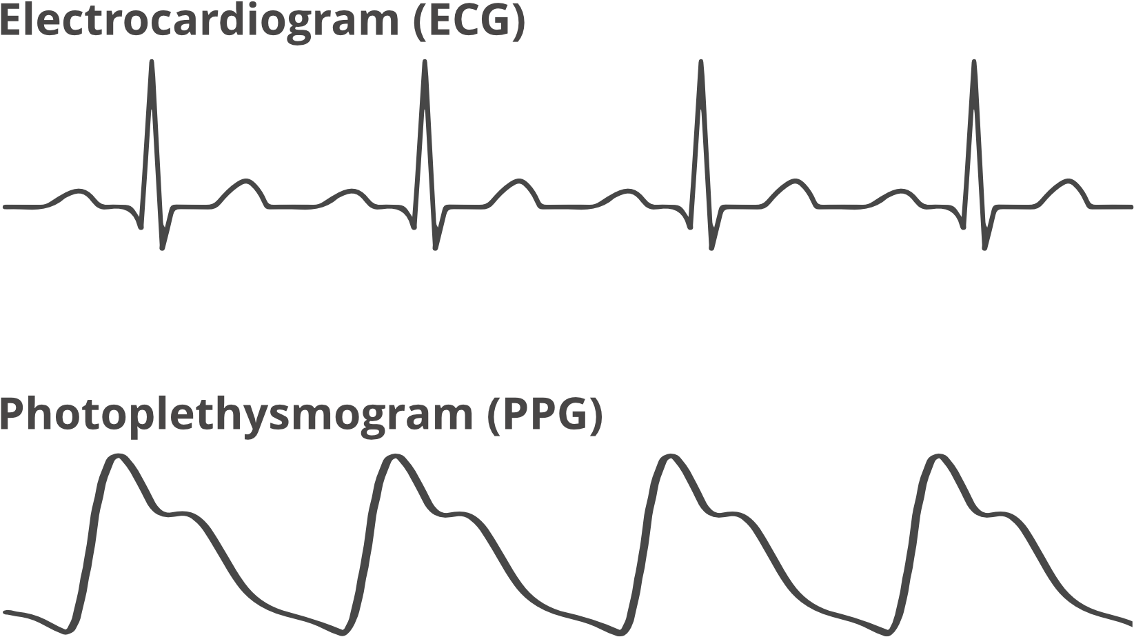 Download Reading The Data - Data - Full Size PNG Image - PNGkit