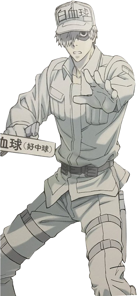 Download White Blood Cell Cells At Work - Full Size PNG Image - PNGkit