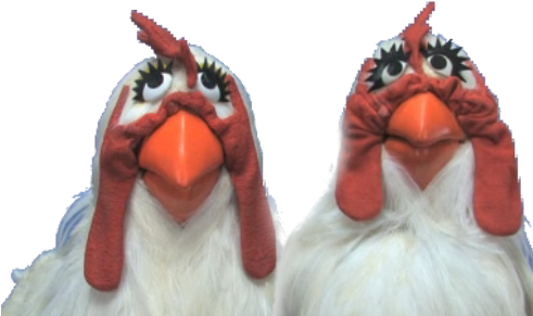 Download Chickens - Muppet Chicken - Full Size PNG Image - PNGkit
