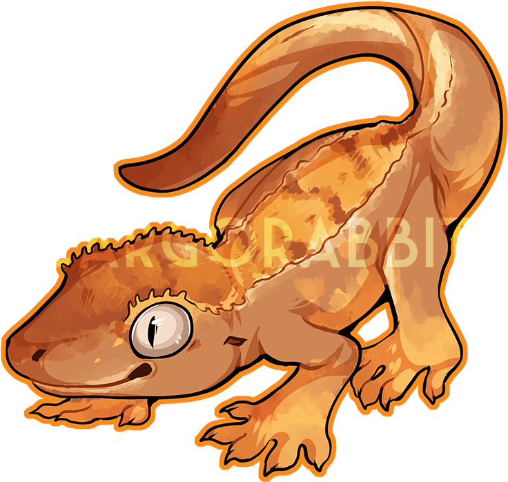 Download Crested Gecko - Crested Gecko Stickers - Full Size PNG Image ...