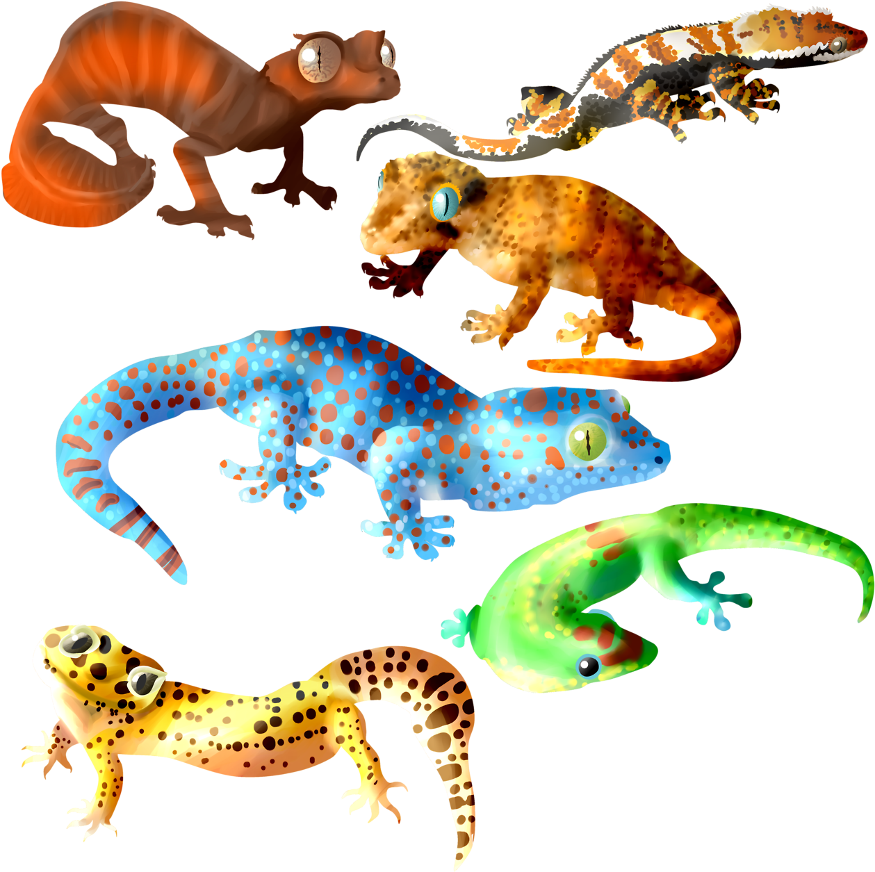 Download Transparent Gecko Translucent Png Free - Gargoyle Gecko Art ...