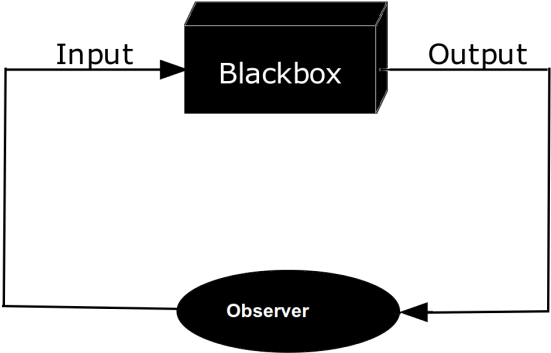 Download Blackbox3d-obs - Black Box Testing Diagram - Full Size PNG ...