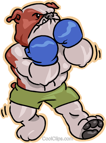 Download Bulldog Boxing - Bulldog Boxe - Full Size PNG Image - PNGkit