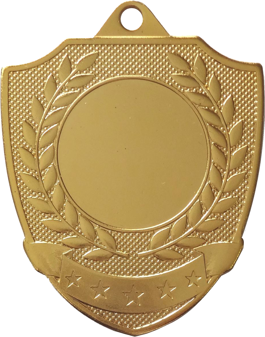 Download Shield Medal - Full Size PNG Image - PNGkit