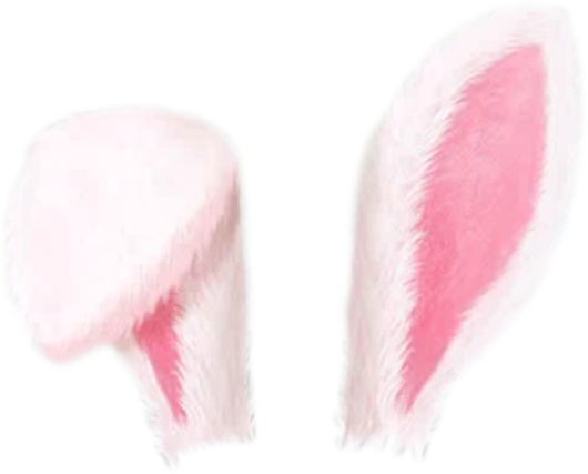 Download Funny Camera Effects Filters Snow Messages Sticker-10 - Close ...