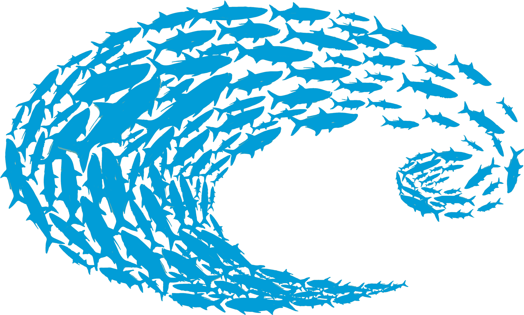 Download Transparent Costa Del Mar Costa Logo Schoolin Decal, Angle ...