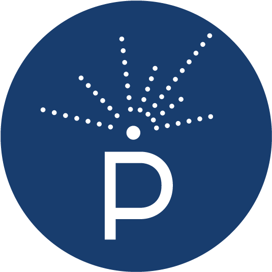 Download Pioneer Logo Png - Full Size PNG Image - PNGkit