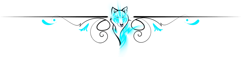 Download Wolf Divideru4ir - Snow Divider - Full Size PNG Image - PNGkit