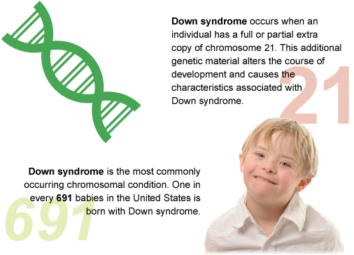 Download Down Syndrome Facts - Facts About Down Syndrome - Full Size ...