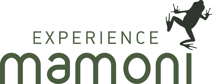 Download Experience Mamoni - Graphic Design - Full Size PNG Image - PNGkit