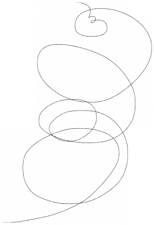 Download Scribble, Doodle - Line Art - Full Size PNG Image - PNGkit