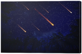 Download Night Sky With A Meteor Shower Canvas Print • Pixers® - Star ...