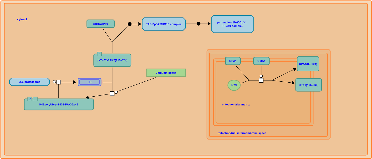 Download In Case The Requested Pathway Has An Interactive Illustration ...