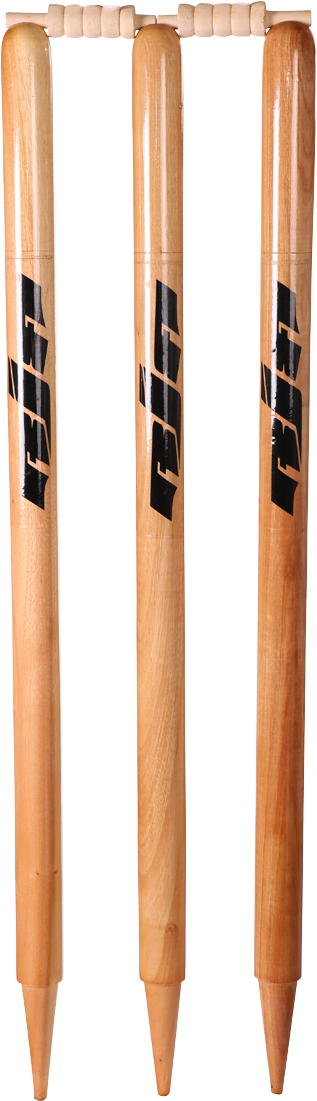Download Cricket Stumps Bag - Cricket Wicket Png - Full Size PNG Image ...