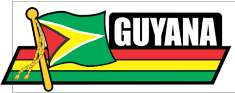 Download Guyana Flag Car Sidekick Decal - Flag Car Auto Sidekick Trunk Bumper Fender Window ...