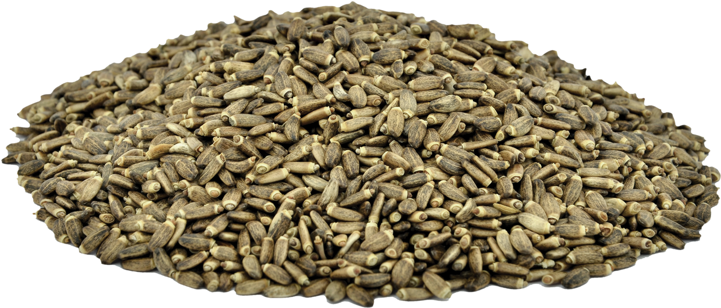 Download Herbs & Botanicals-milk Thistle Seeds - Chea Seed - Full Size ...