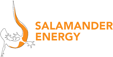 Download Salamander - World Future Energy Summit 2018 - Full Size PNG ...