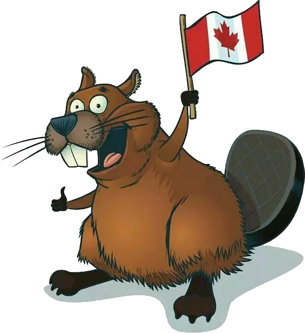 Download Beaver Png - Canadian Beaver Funny - Full Size PNG Image - PNGkit
