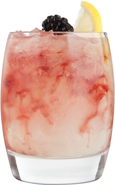 Download Bramble This - Bramble - Full Size PNG Image - PNGkit