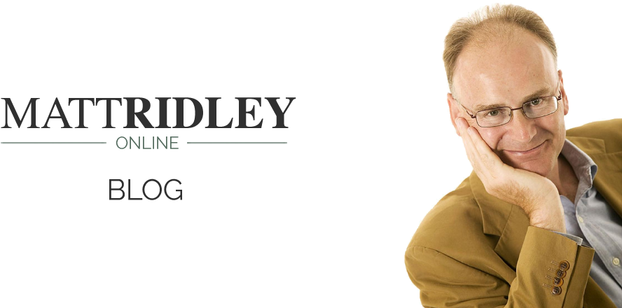 Download Matt Ridley - Full Size PNG Image - PNGkit