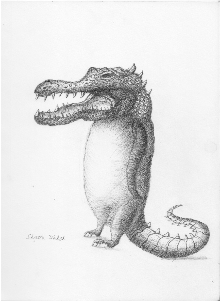 Download Penguin-gator - Penguin - Full Size PNG Image - PNGkit