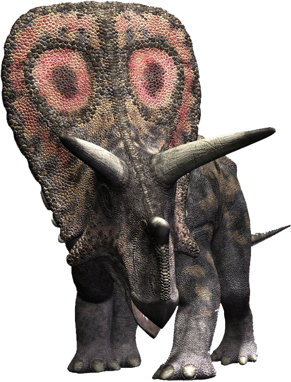 Download Torosaurus Was Smaller Than Triceratops, Even Though ...