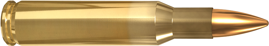 Download Transparent - 222 Remington - Gun Bullet Transparent - PNGkit