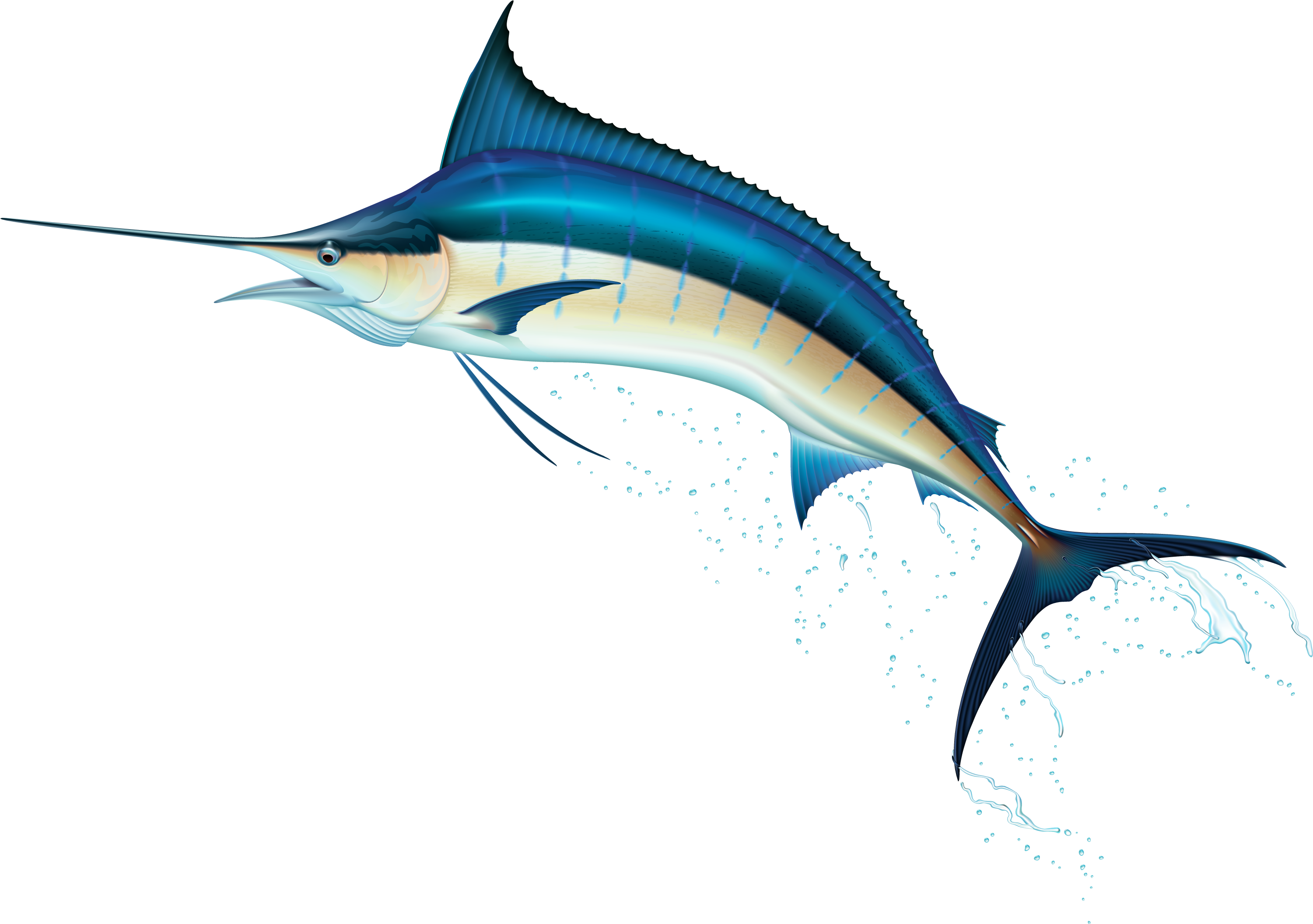Download Swordfish Png Clip Art - Billfish Clip Art - Full Size PNG ...