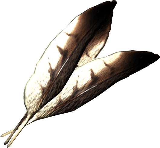 Download Hawk Feathers - Hawk Feather Png - Full Size PNG Image - PNGkit